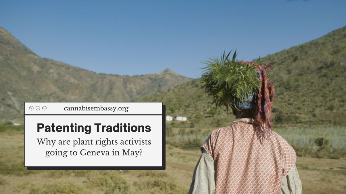 Patenting Traditions: Plant rights activists at the GRATK Treaty